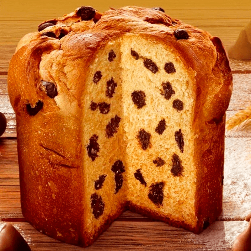 Chocottone Bauducco 500g